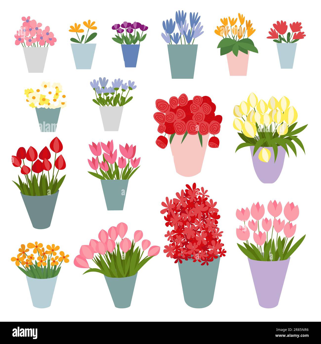 Bouquets beautiful tulip flowers Cut Out Stock Images & Pictures - Alamy