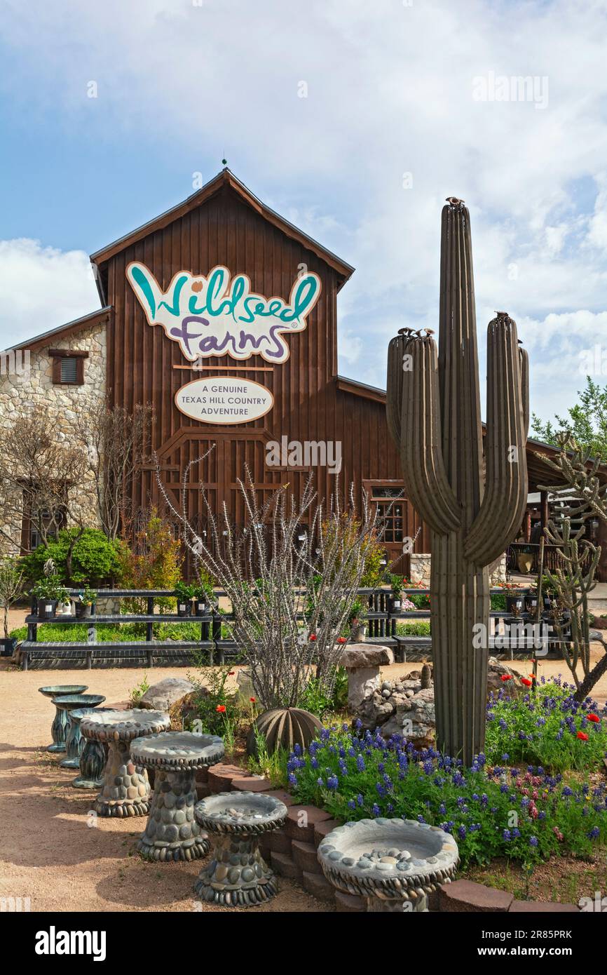 Texas, Hill Country, Gillespie County, Wildseed Farms Stock Photo - Alamy