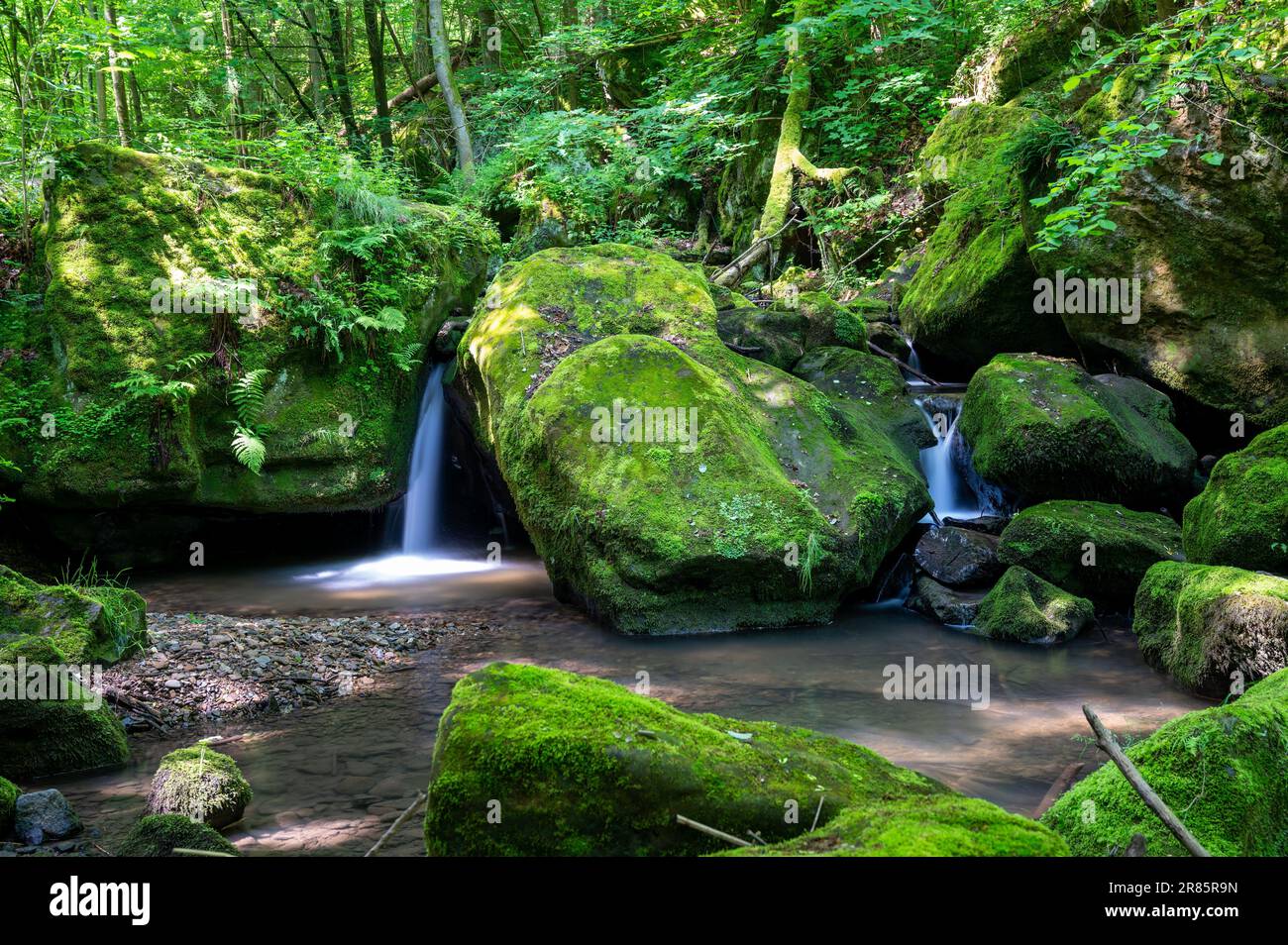 A scenic stream of water with vibrant mossy rocks in a forested area ...