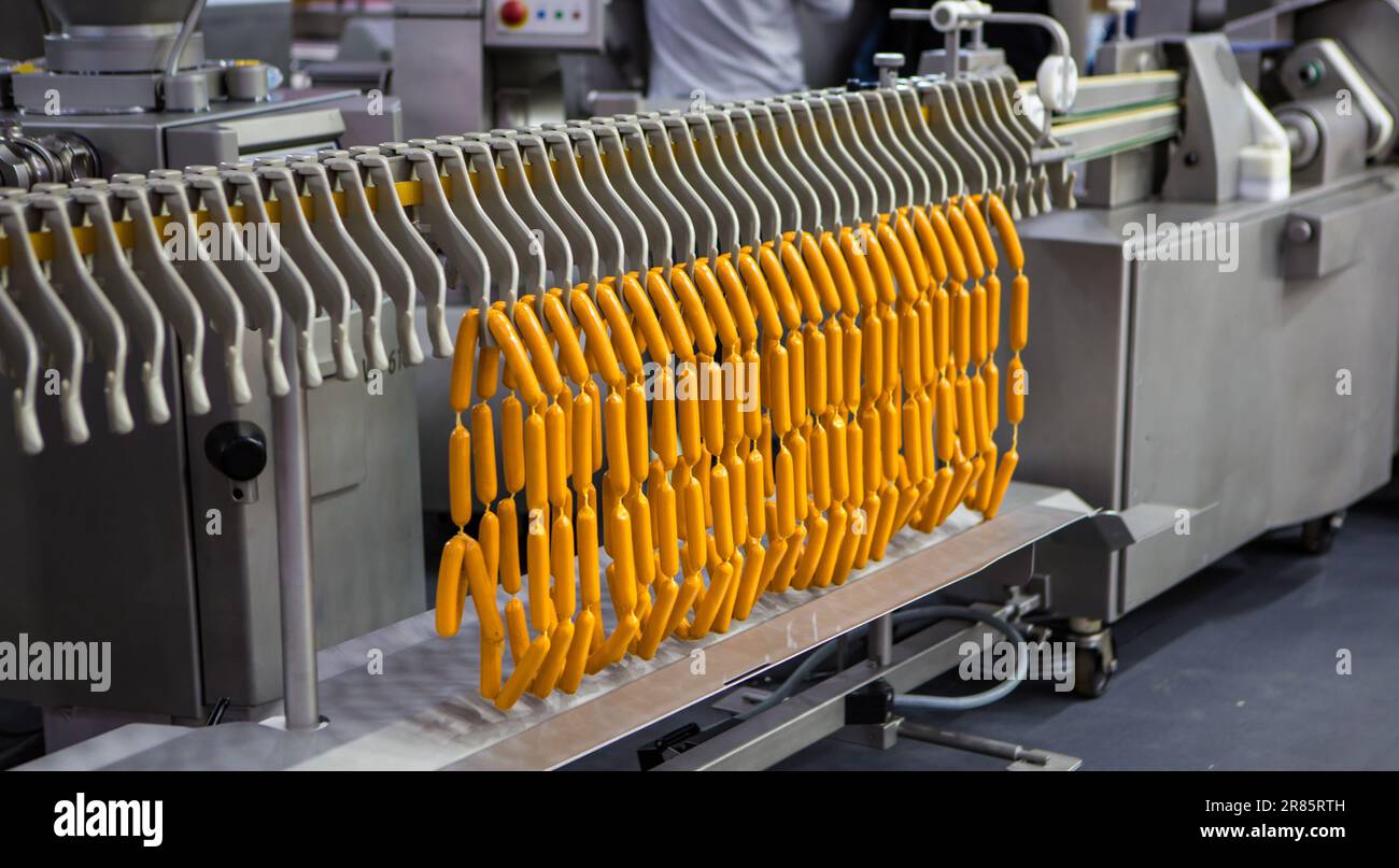 Automatic high speed sausage string tyer divider machine. Food industry ...