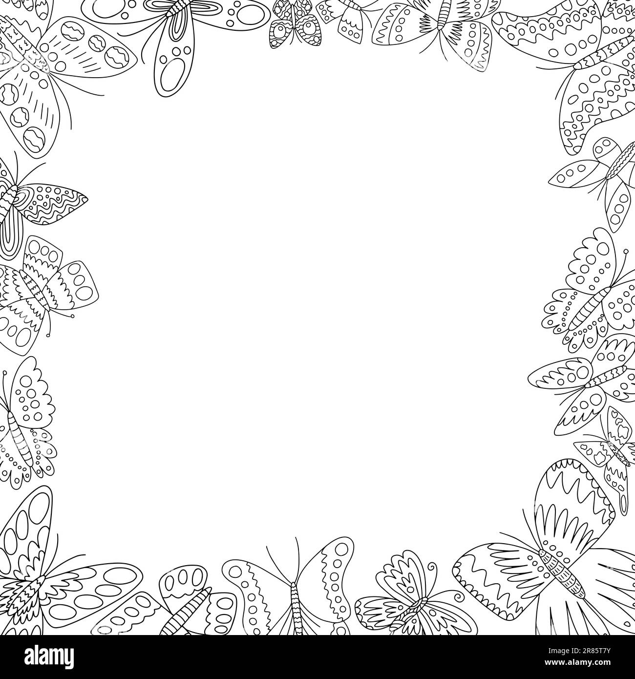 Vector Butterfly Frame For Text Stock Vector Image And Art Alamy