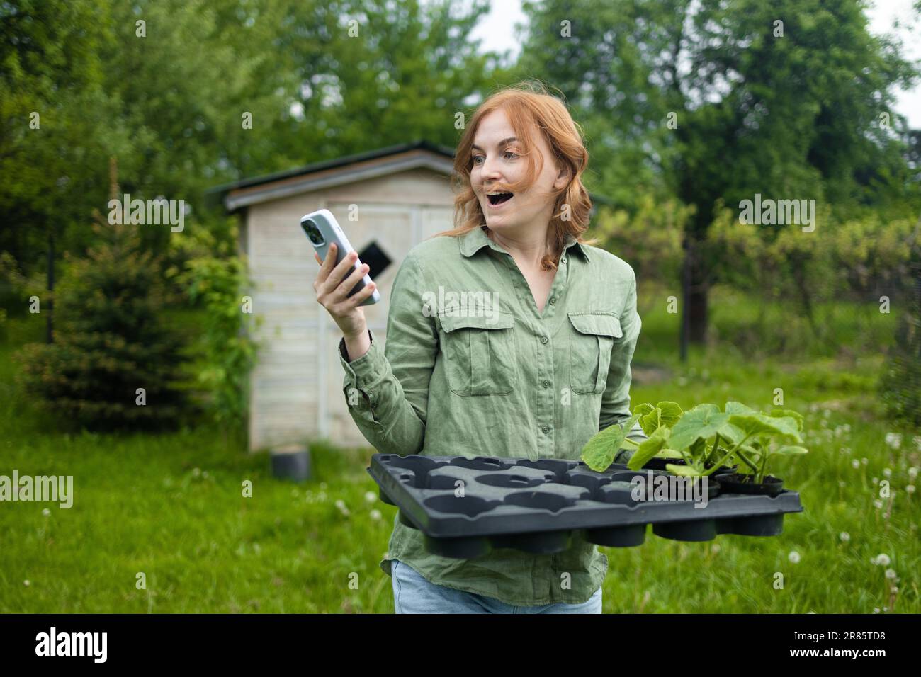Happy farmer girl using smart phone, holding a little potted cucumber ...