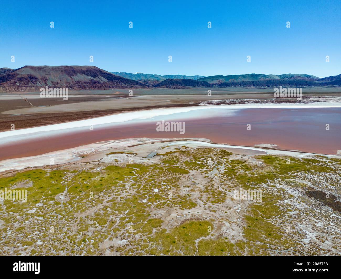 Argentina: Puna - aerial view of the colorful Laguna Carachi Pampa, a ...