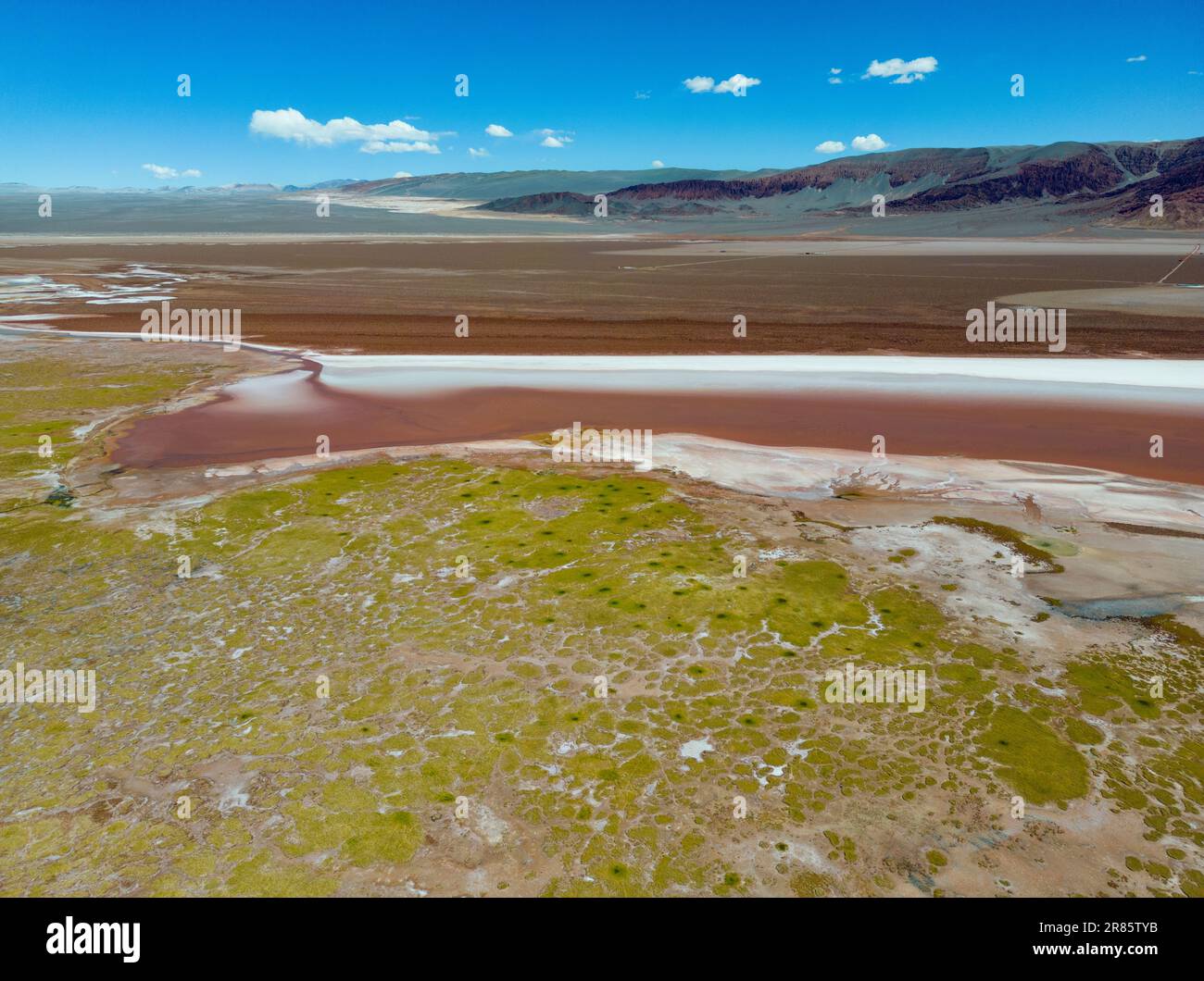 Argentina: Puna - aerial view of the colorful Laguna Carachi Pampa, a ...