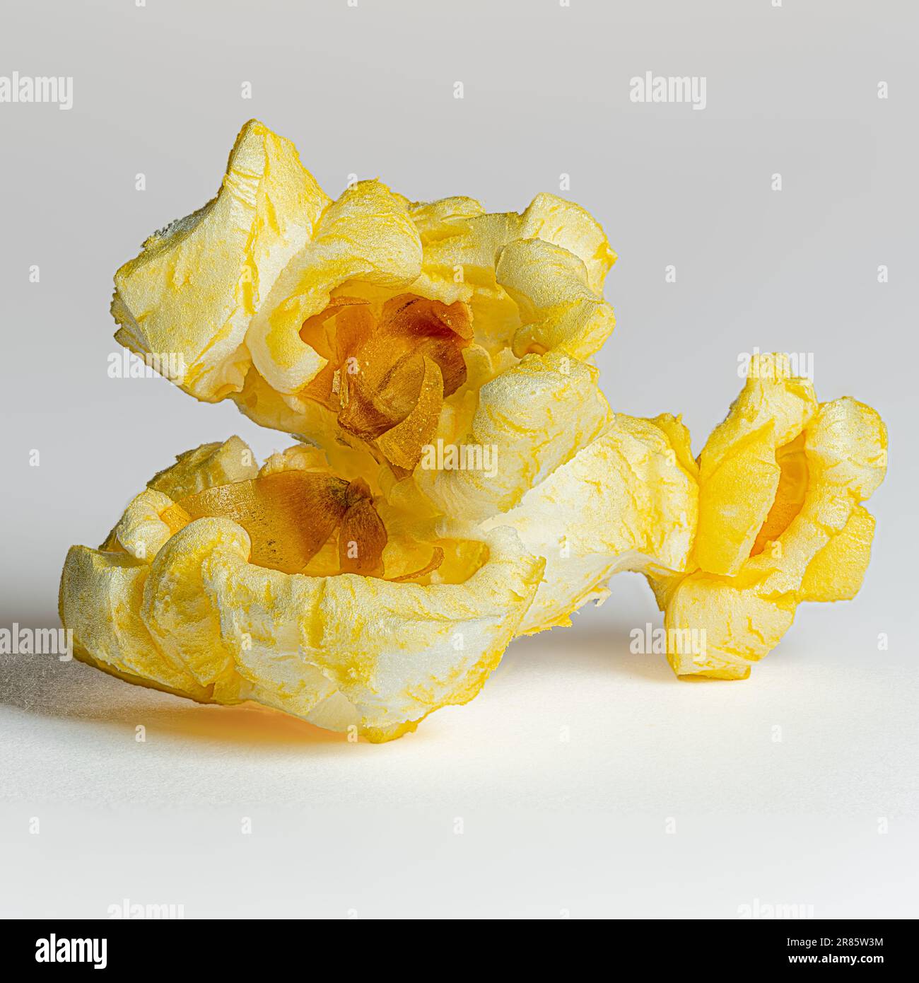Close up macro photograph of a piece of popcorn viewed from the side ...