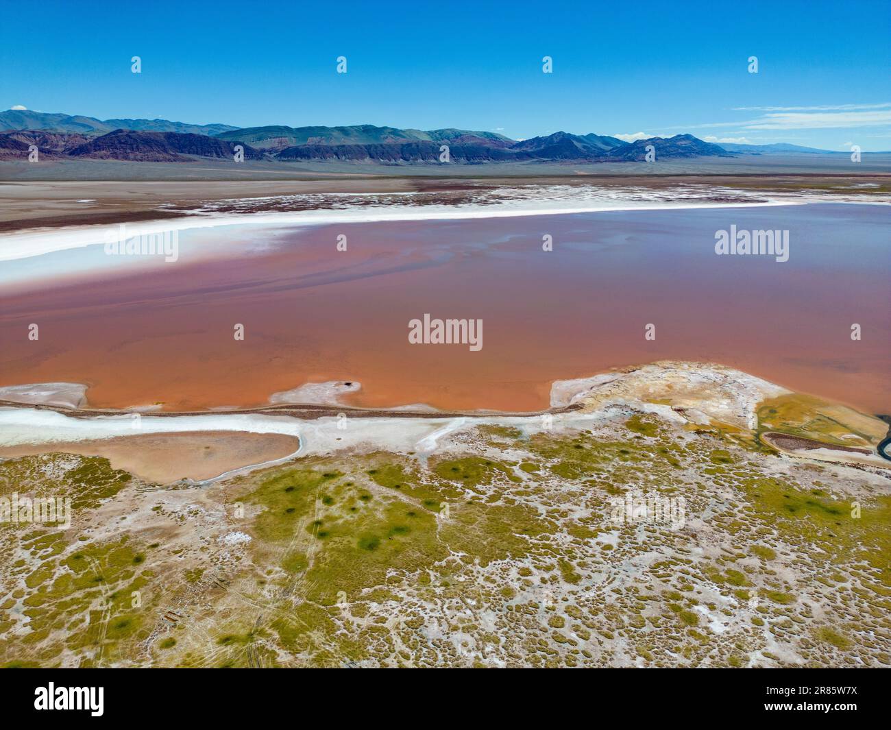 Argentina: Puna - aerial view of the colorful Laguna Carachi Pampa, a ...