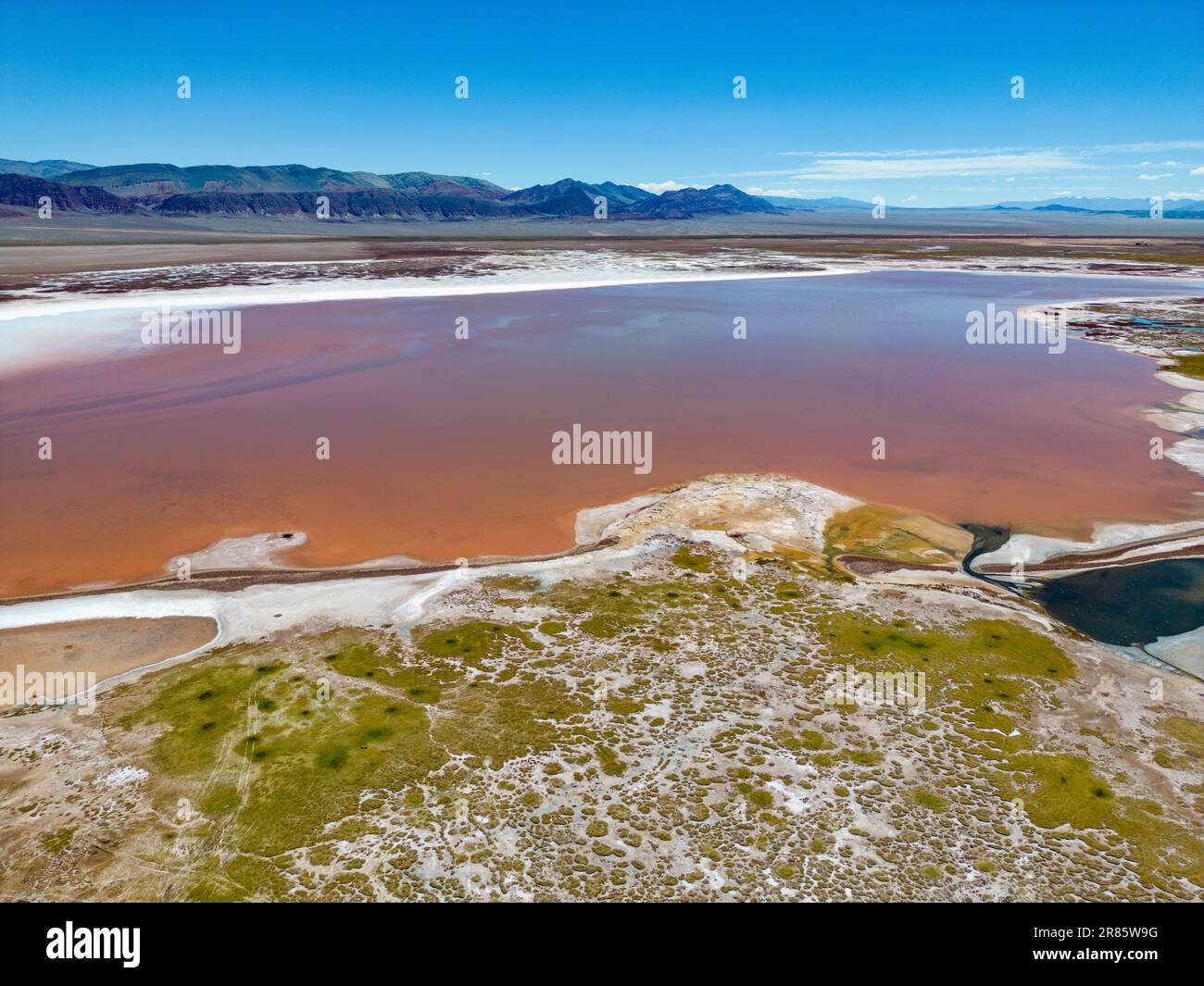 Argentina: Puna - aerial view of the colorful Laguna Carachi Pampa, a ...