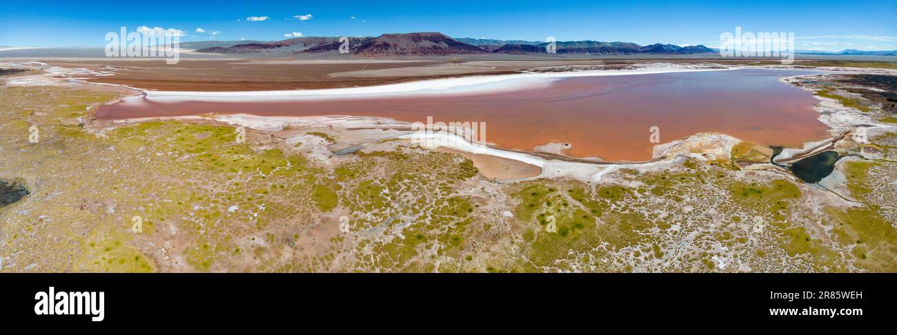 Argentina: Puna - aerial view of the colorful Laguna Carachi Pampa, a ...