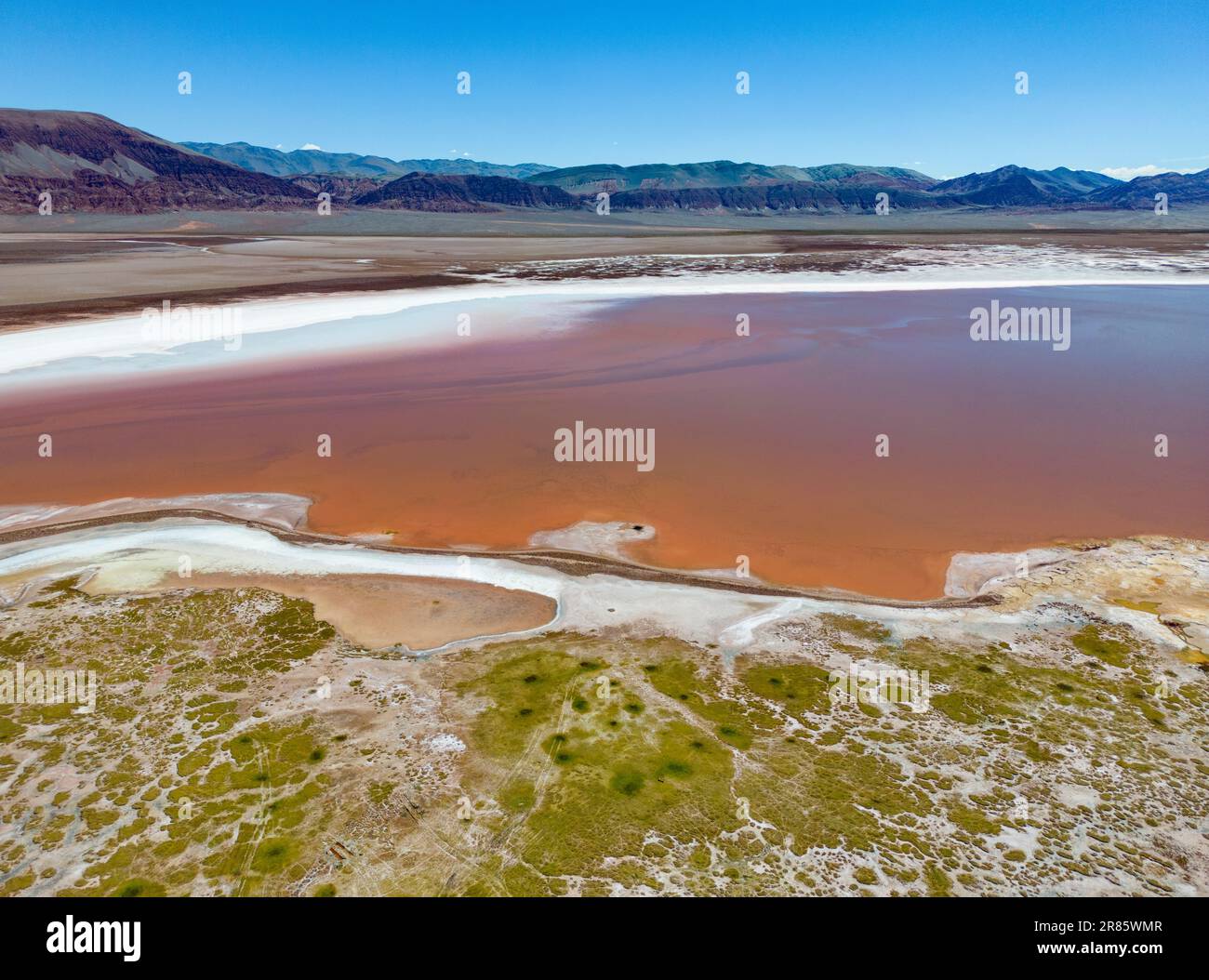 Argentina: Puna - aerial view of the colorful Laguna Carachi Pampa, a ...