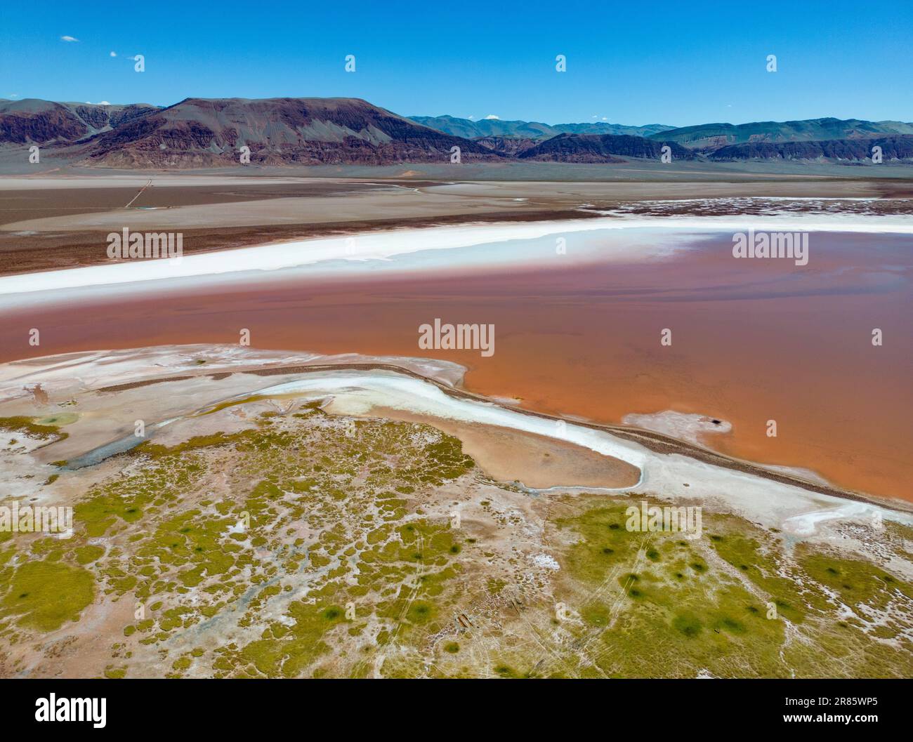 Argentina: Puna - aerial view of the colorful Laguna Carachi Pampa, a ...