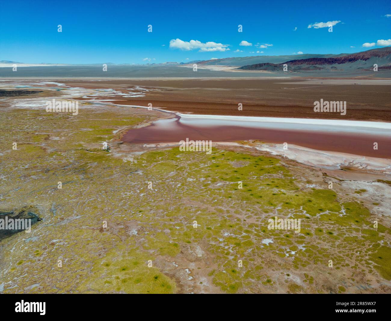 Argentina: Puna - aerial view of the colorful Laguna Carachi Pampa, a ...