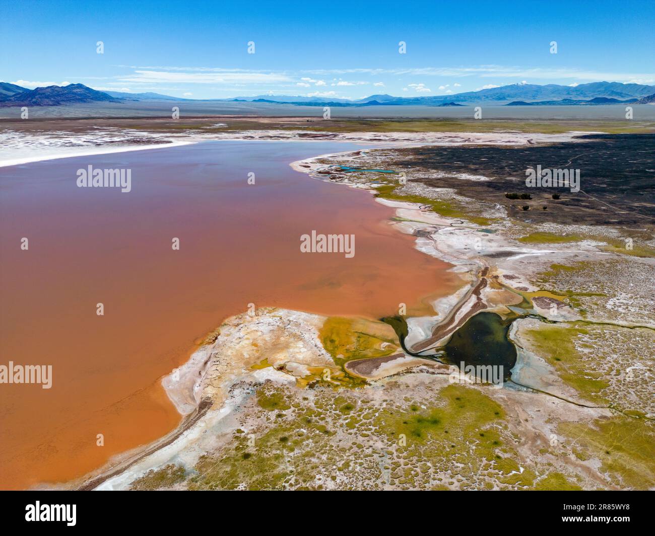 Argentina: Puna - aerial view of the colorful Laguna Carachi Pampa, a ...