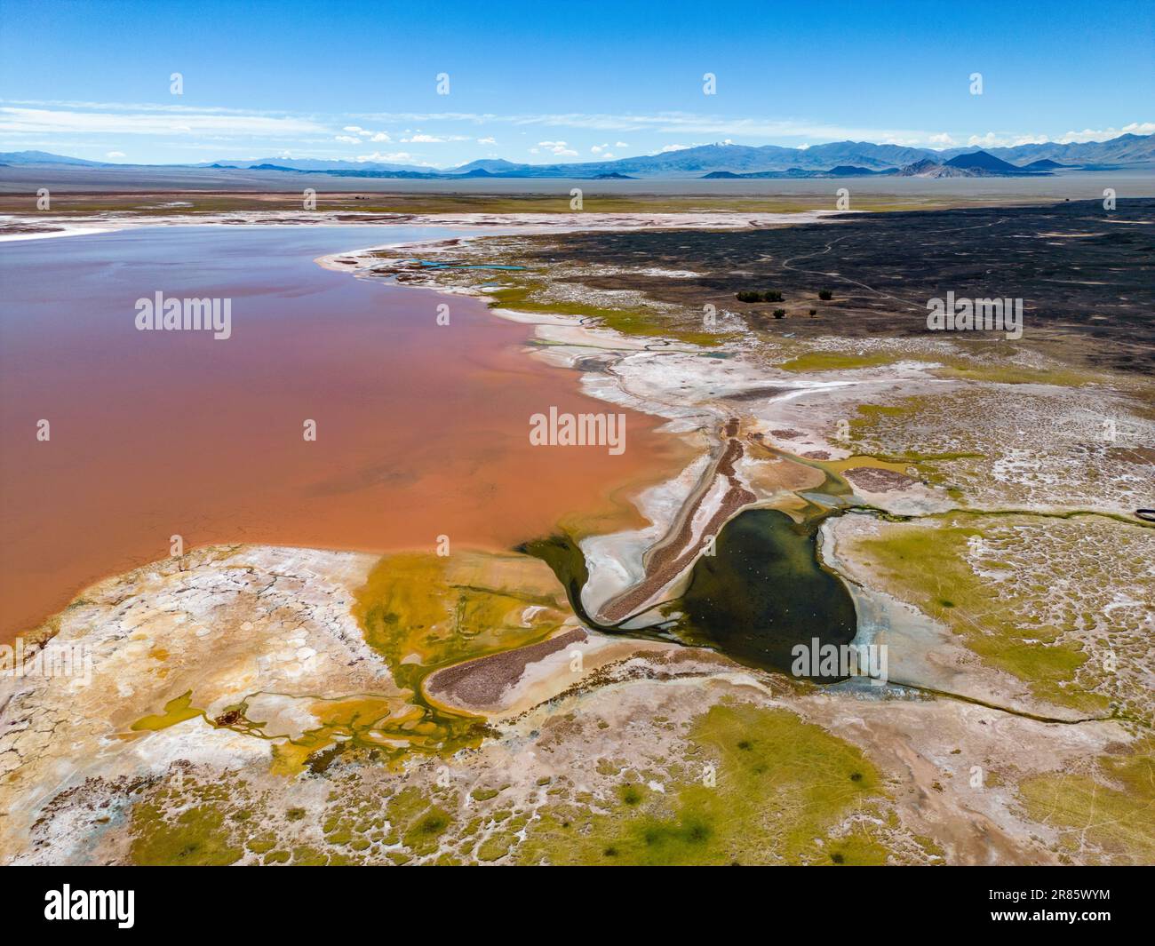Argentina: Puna - aerial view of the colorful Laguna Carachi Pampa, a ...