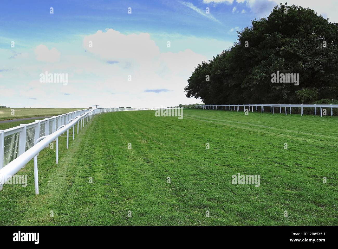 Camera tracks from behind grass hi-res stock photography and images - Alamy