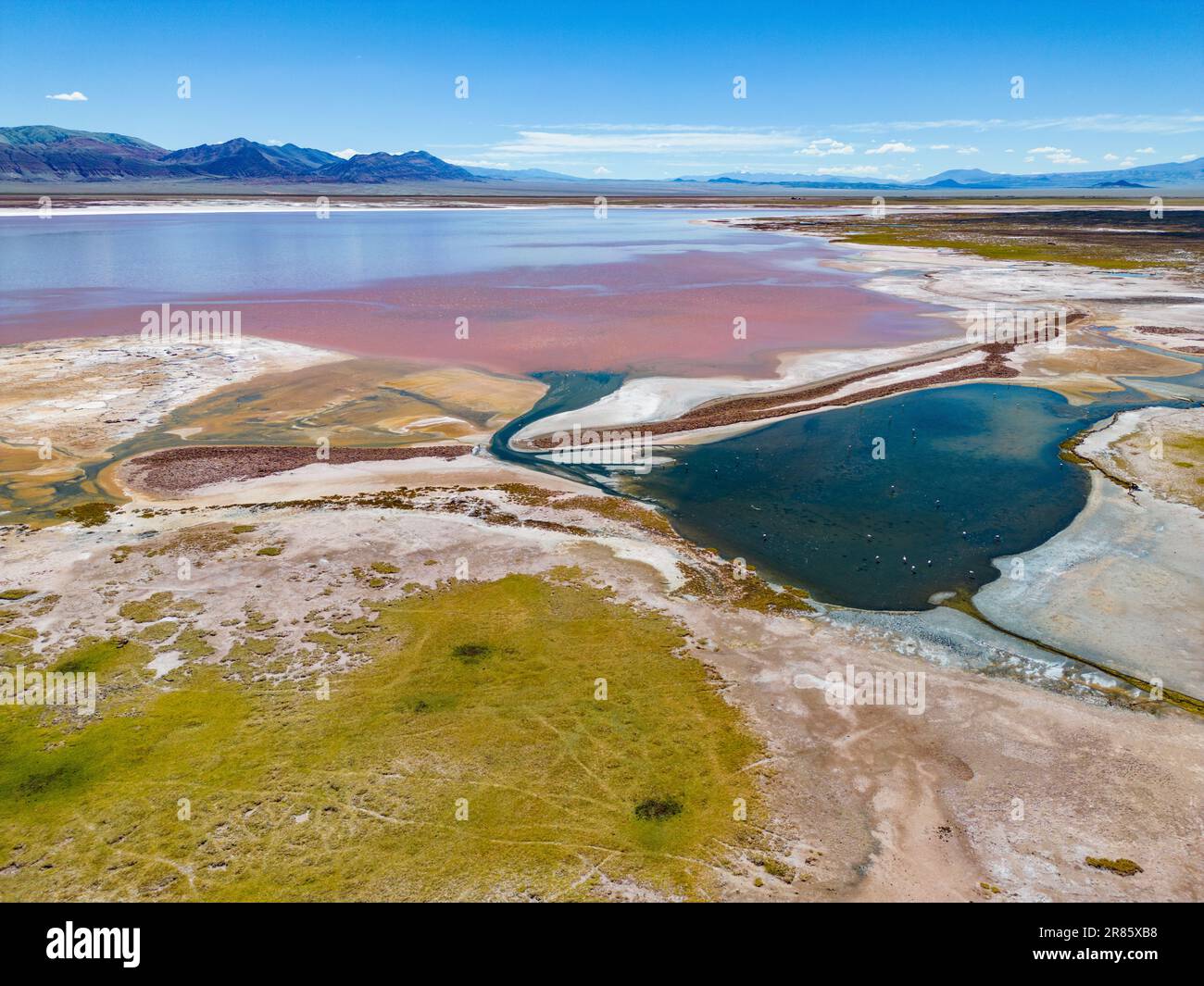 Argentina: Puna - aerial view of the colorful Laguna Carachi Pampa, a ...