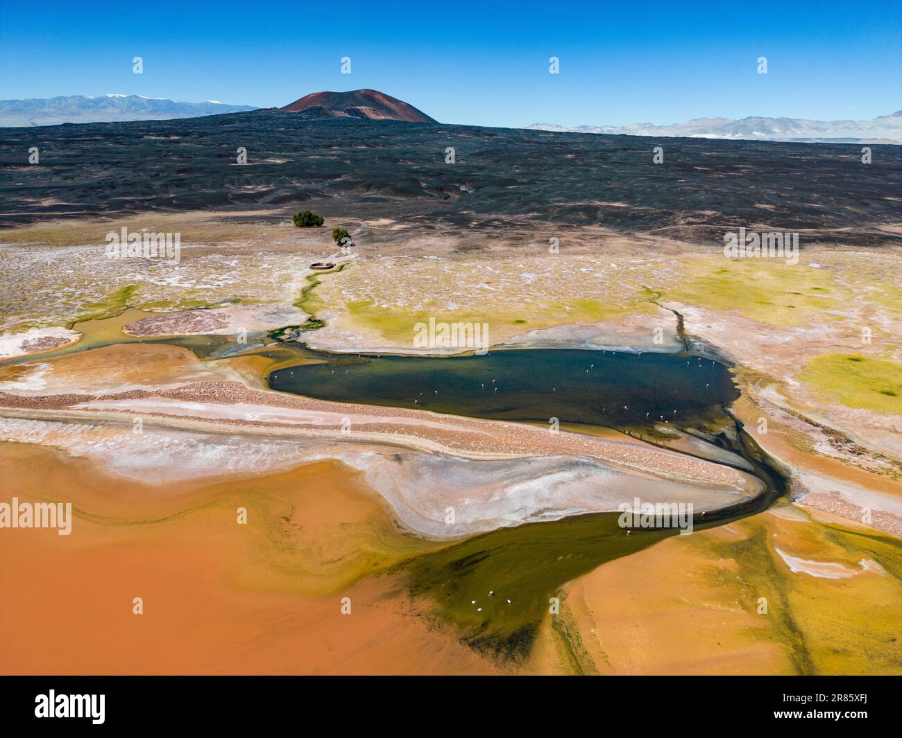 Argentina: Puna - aerial view of the colorful Laguna Carachi Pampa, a ...