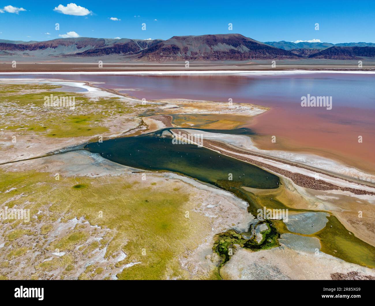 Argentina: Puna - aerial view of the colorful Laguna Carachi Pampa, a ...