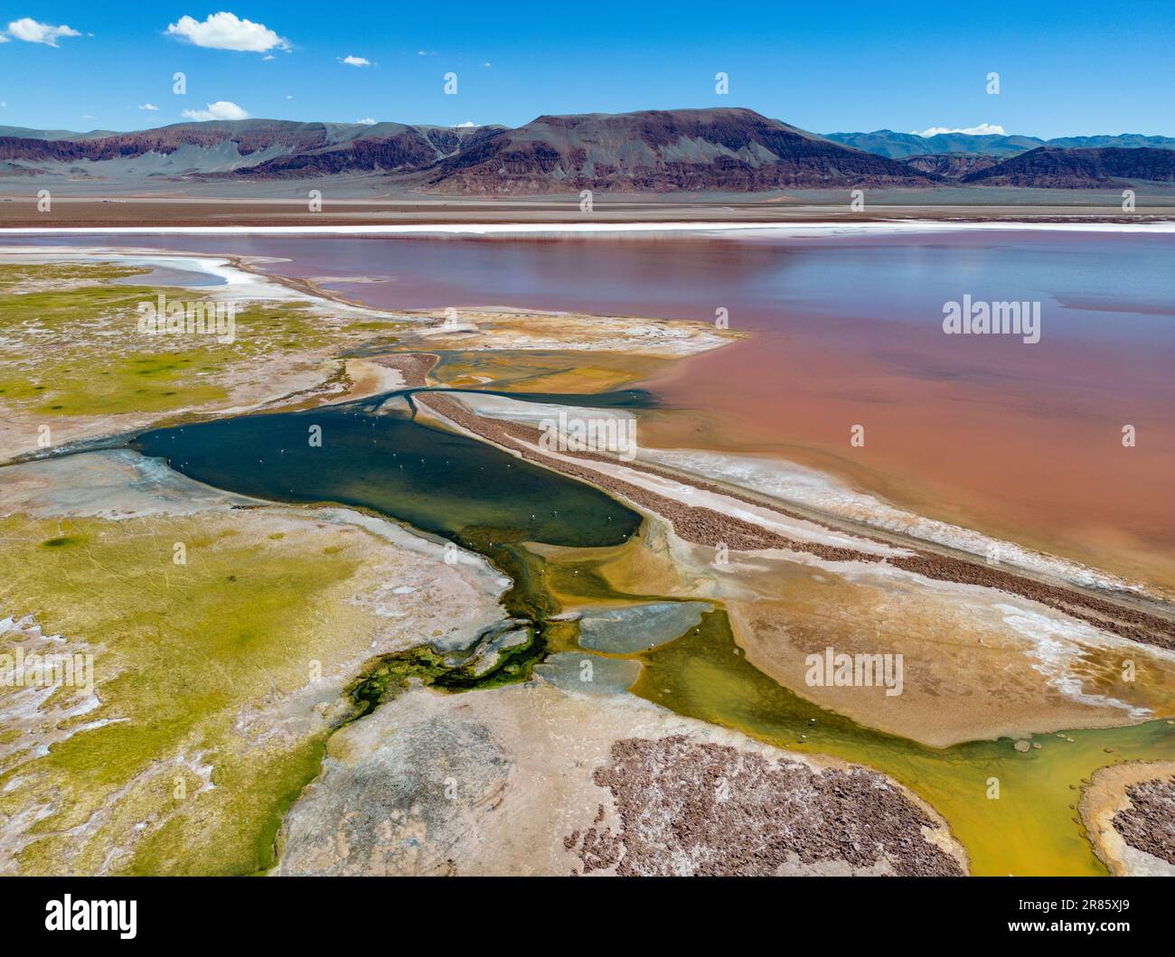 Argentina: Puna - aerial view of the colorful Laguna Carachi Pampa, a ...