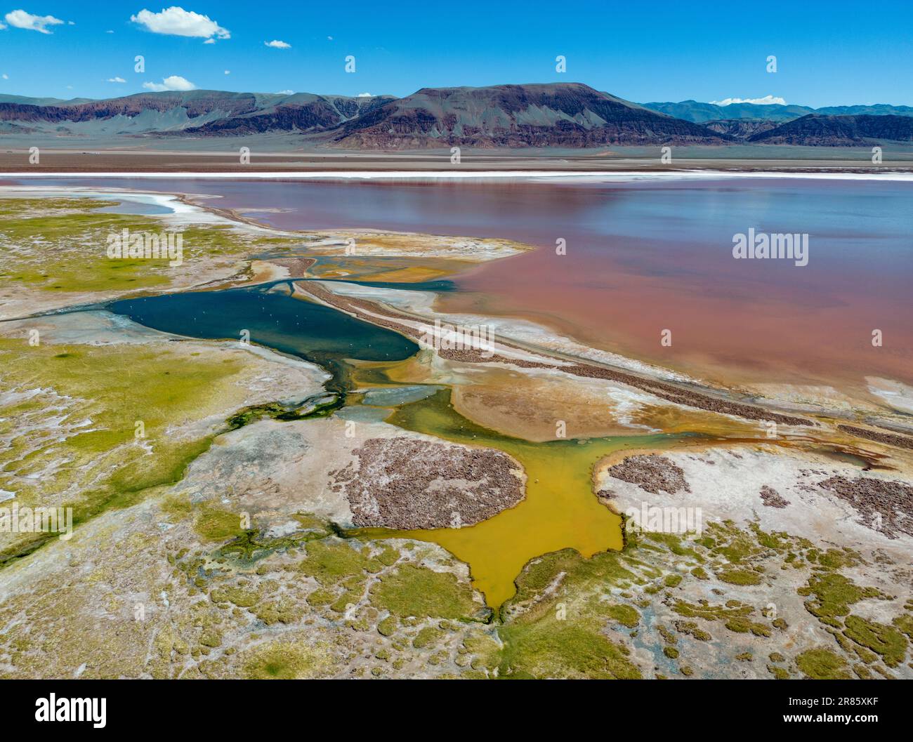 Argentina: Puna - aerial view of the colorful Laguna Carachi Pampa, a ...