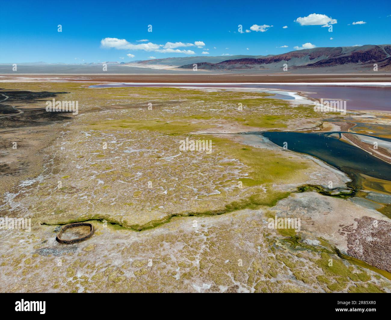 Argentina: Puna - aerial view of the colorful Laguna Carachi Pampa, a ...
