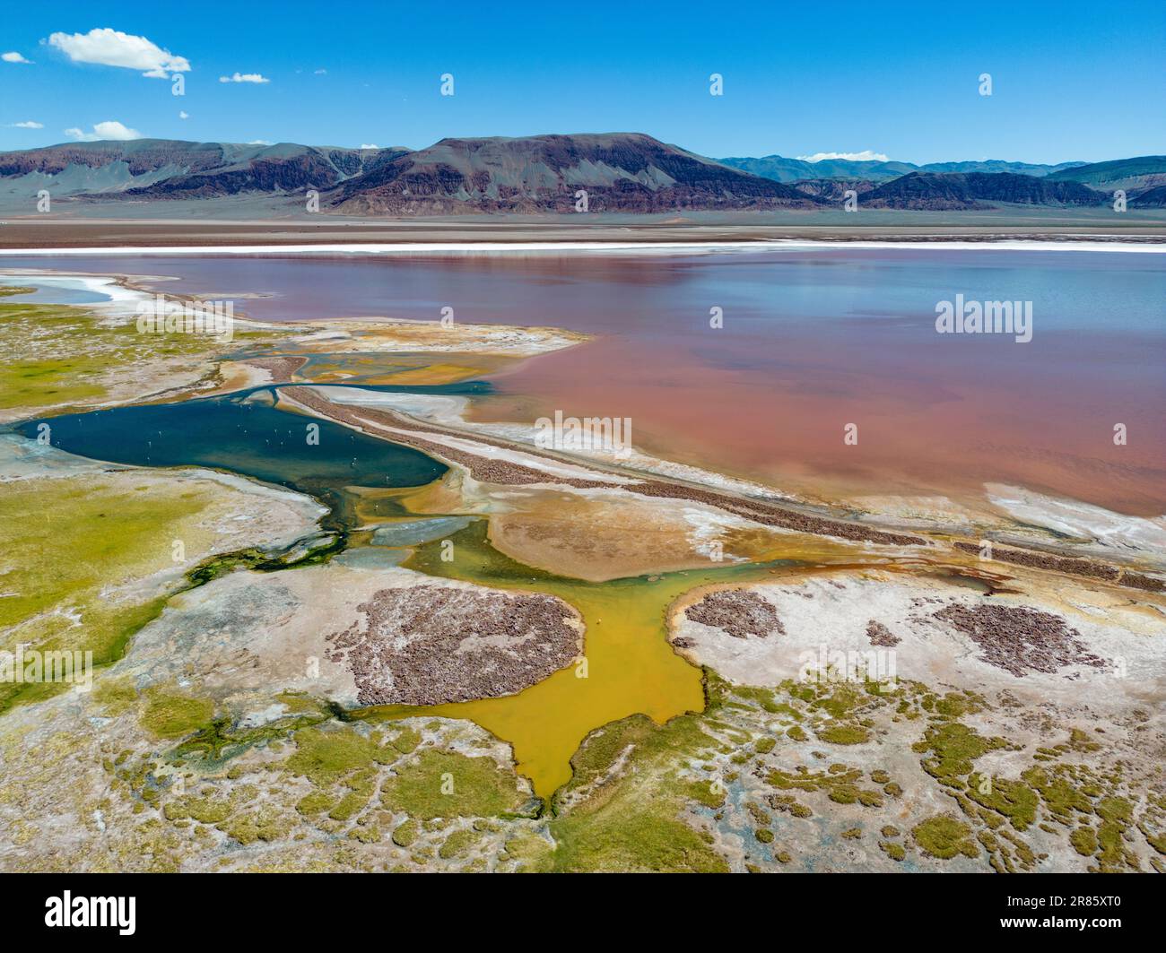 Argentina: Puna - aerial view of the colorful Laguna Carachi Pampa, a ...