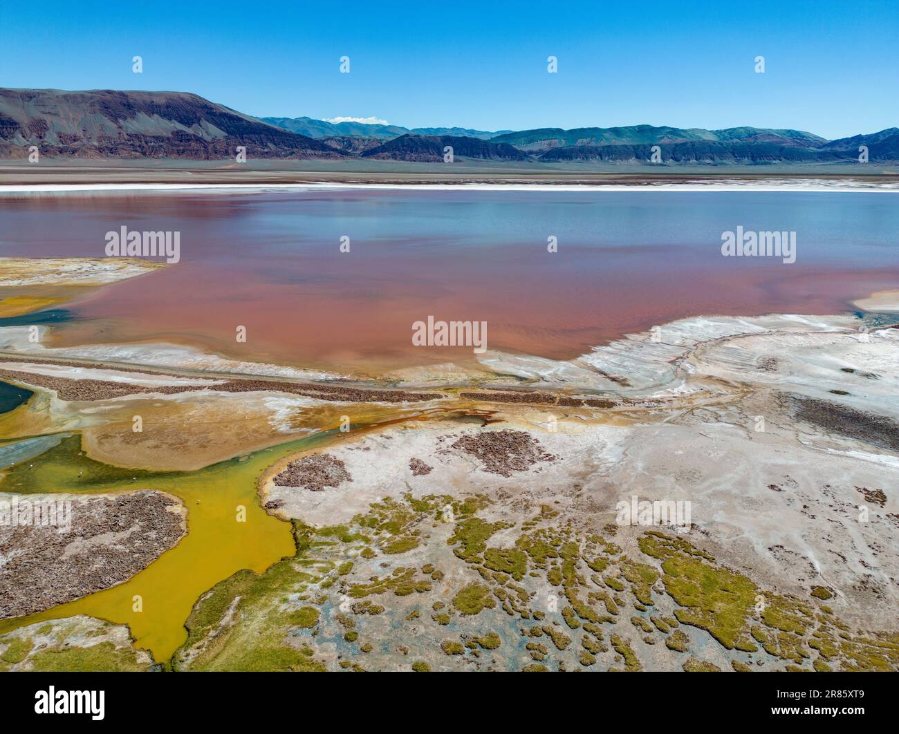 Argentina: Puna - aerial view of the colorful Laguna Carachi Pampa, a ...