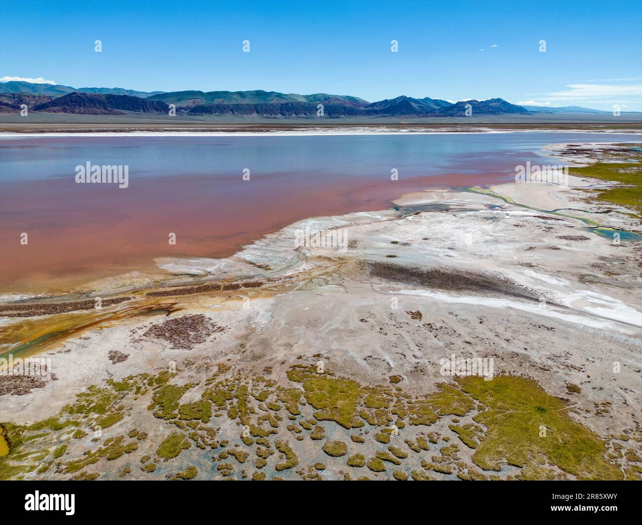 Argentina: Puna - aerial view of the colorful Laguna Carachi Pampa, a ...