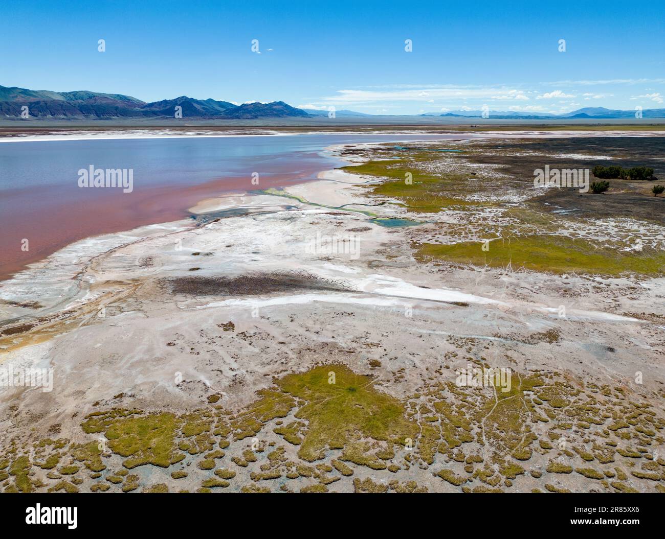 Argentina: Puna - aerial view of the colorful Laguna Carachi Pampa, a ...