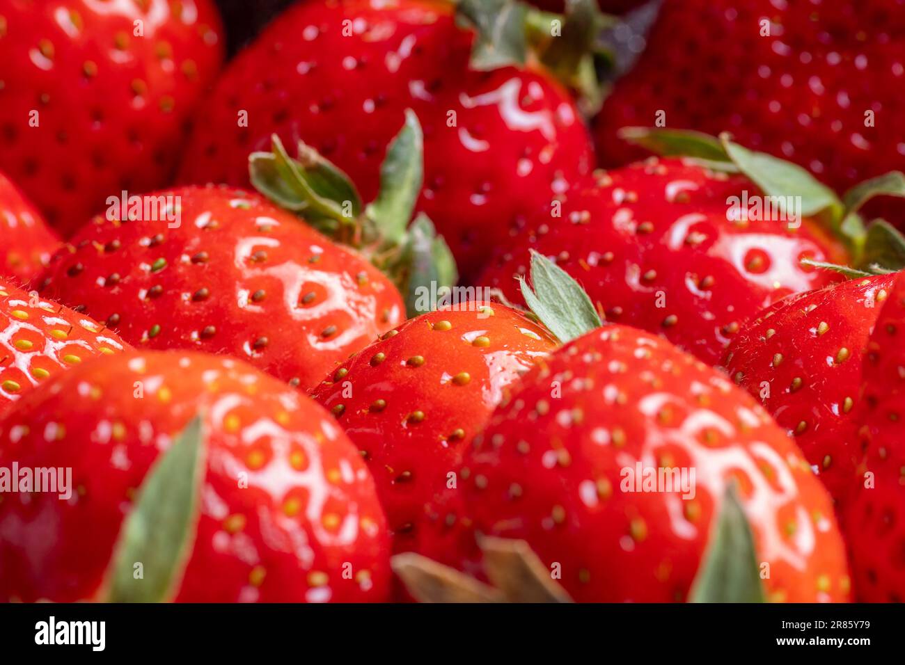 background from freshly harvested strawberries, directly above ...