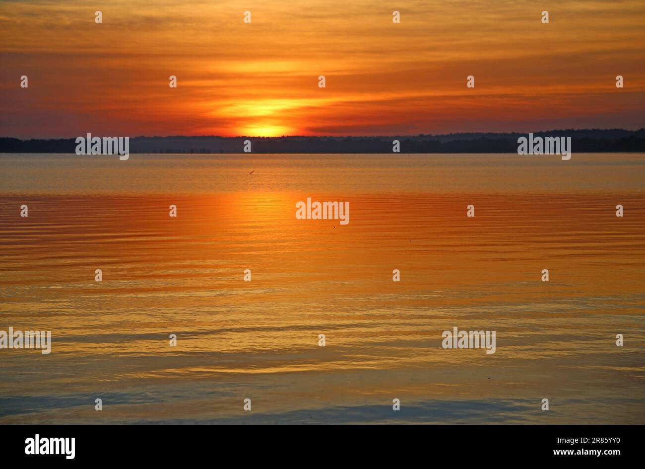 Golden reflection at sunrise - Reelfoot Lake State Park, Tennessee ...