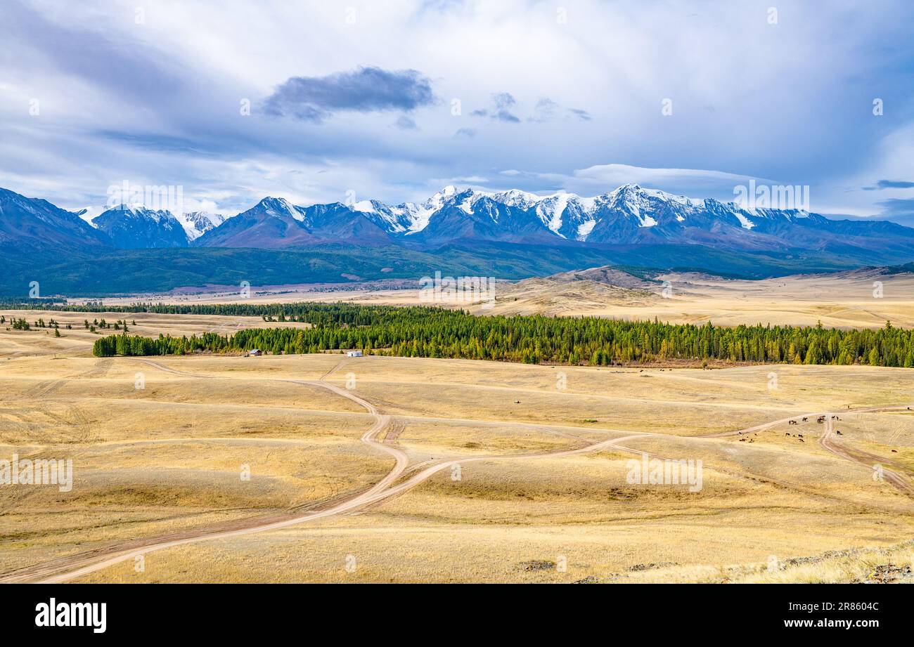 View of Kurai steppe and Altai mountains. Altai Republic, Siberia ...