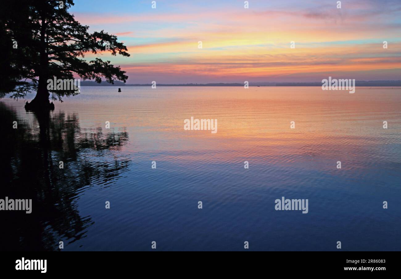 Morning colors - Reelfoot Lake State Park, Tennessee Stock Photo - Alamy
