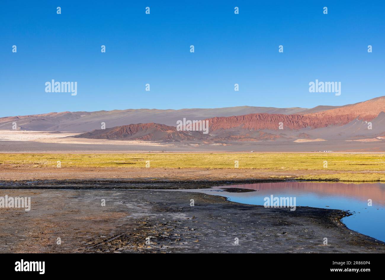 Colorful Laguna Carachi Pampa in the deserted highlands of northern ...
