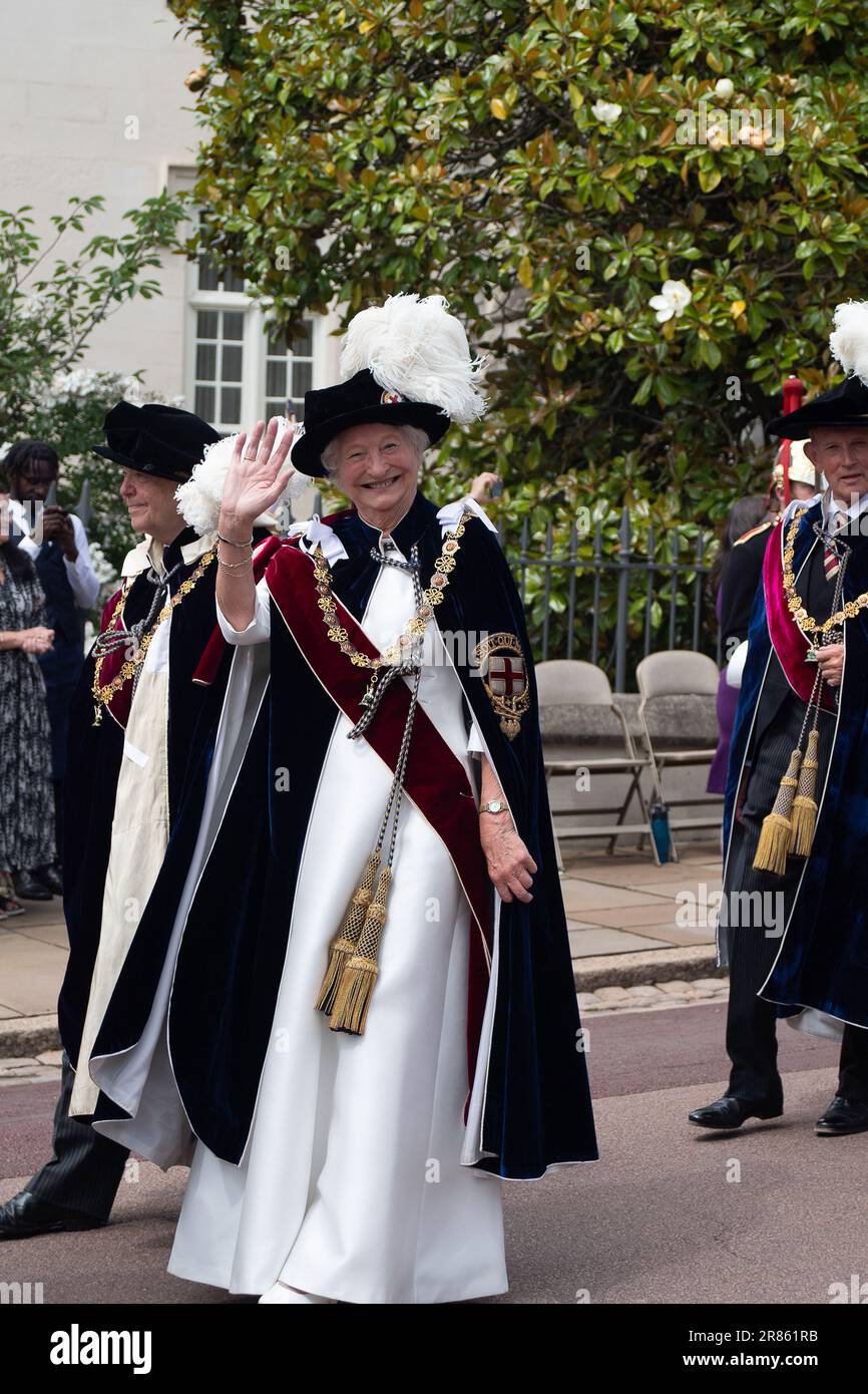 What Is A Lady Of The Garter at Noah Stretch blog