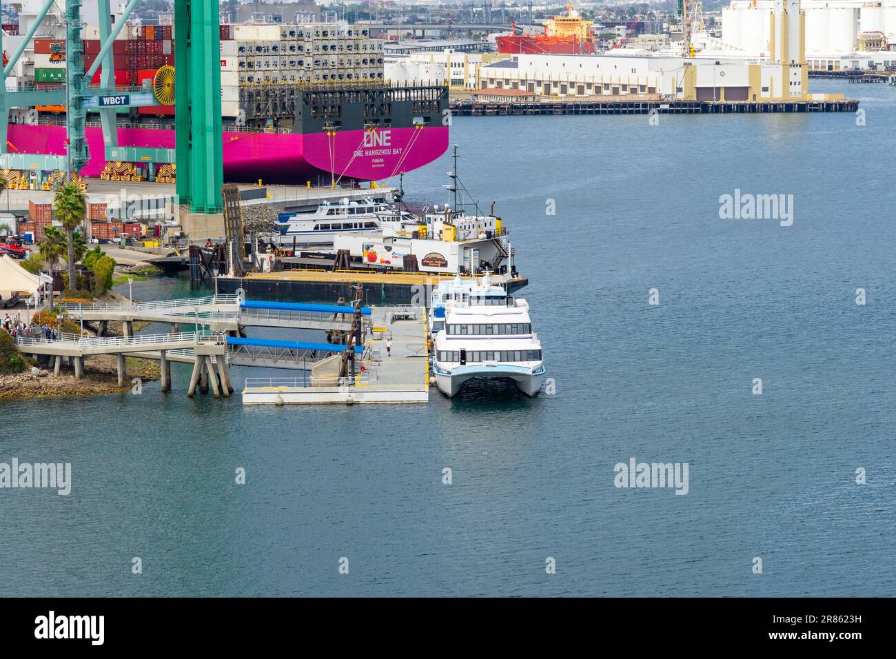San Pedro, CA, USA – June 2, 2023: The Catalina Express catamaran yacht ...