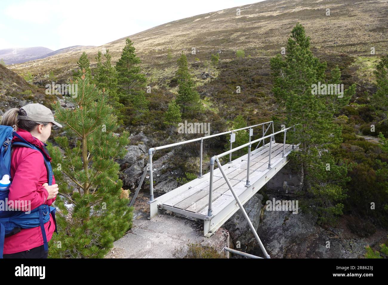 Female walker looking down at Luibeg Bridge over Luibeg Burn in ...