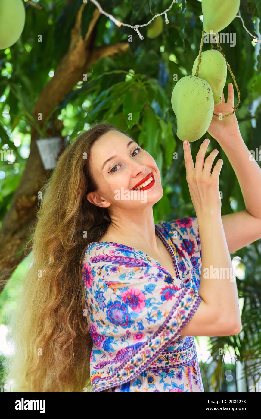 Blonde beautiful woman touching growing mango fruit from the tree Stock ...