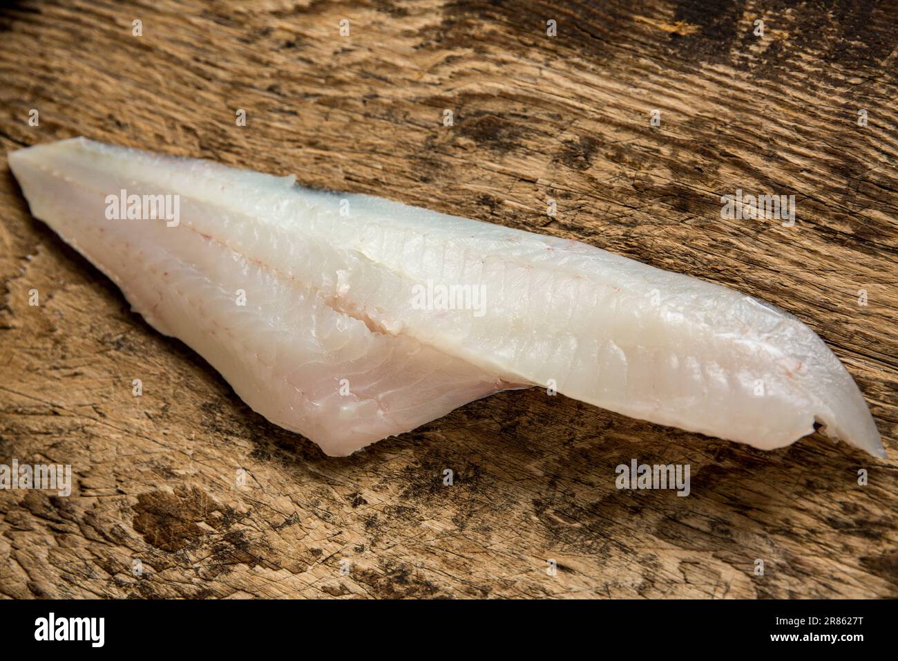 A fillet from a wild cod, Gadus morhua, that was caught in the English ...