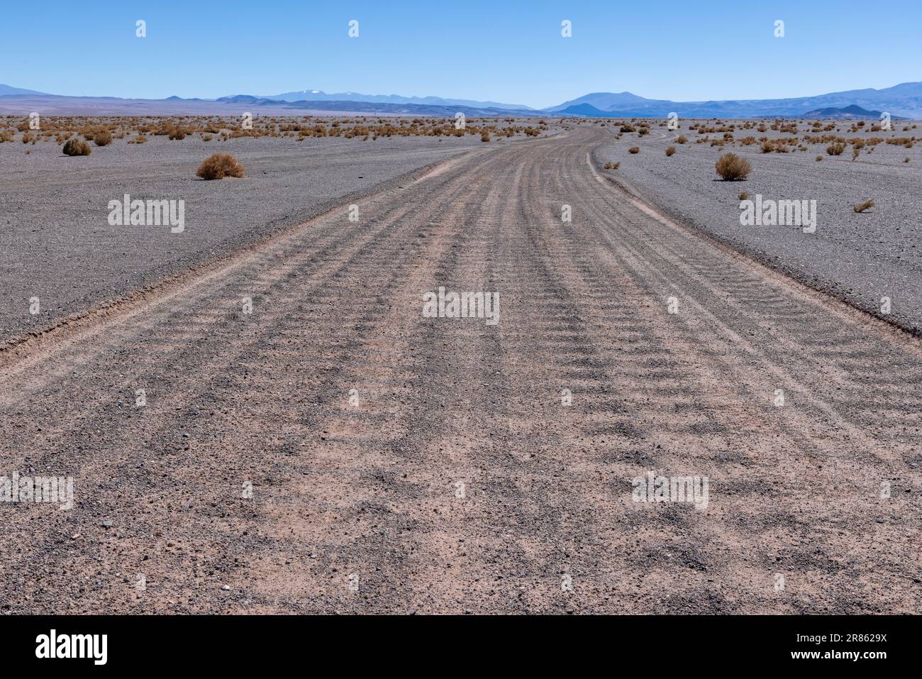 The puna argentina hi-res stock photography and images - Alamy