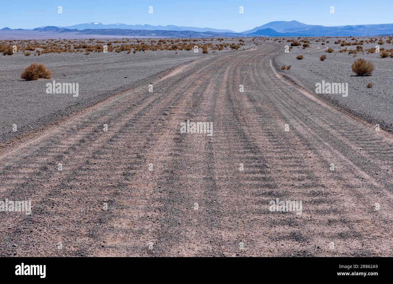 Puna - driving through a bizarre but beautiful landscape with a field ...