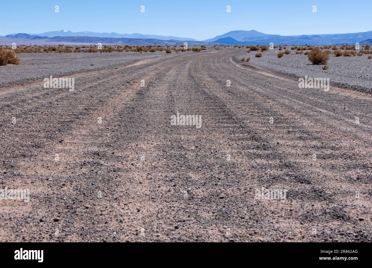 The puna argentina hi-res stock photography and images - Alamy
