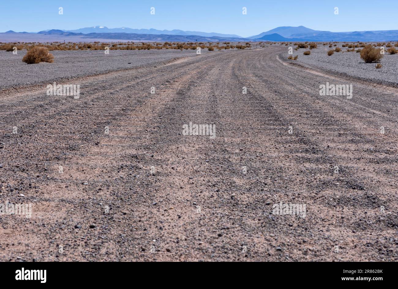 Puna - driving through a bizarre but beautiful landscape with a field ...