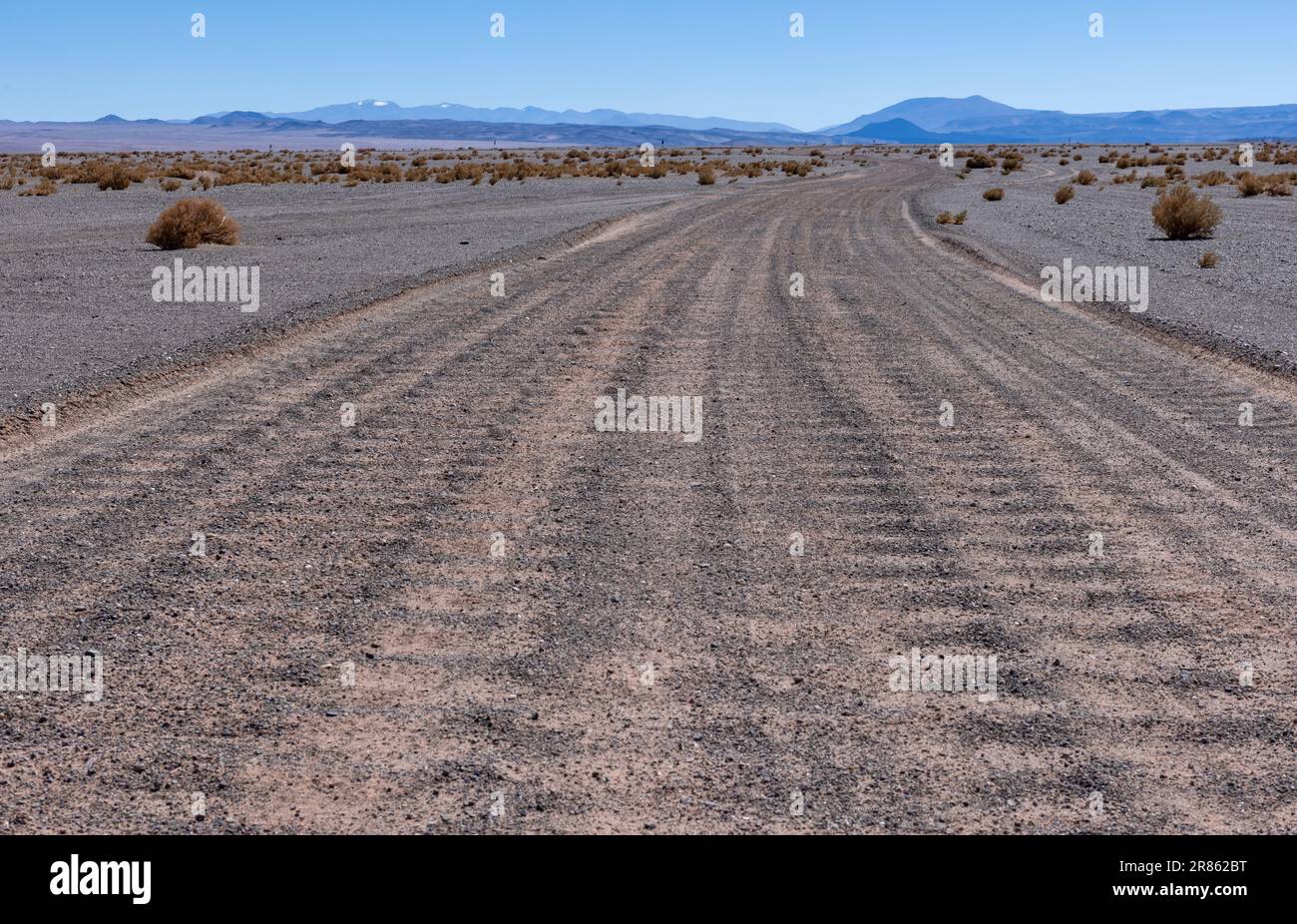 Puna - driving through a bizarre but beautiful landscape with a field ...