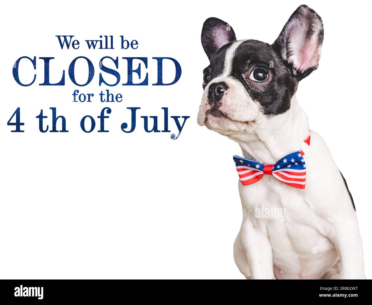 Beautiful cute dog closed Cut Out Stock Images & Pictures - Alamy