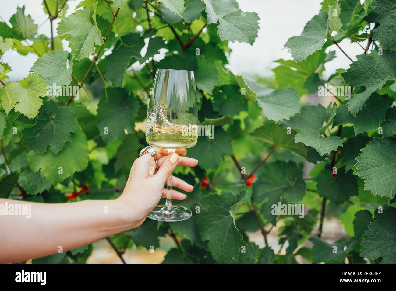 Hand holding a goblet hi-res stock photography and images - Alamy