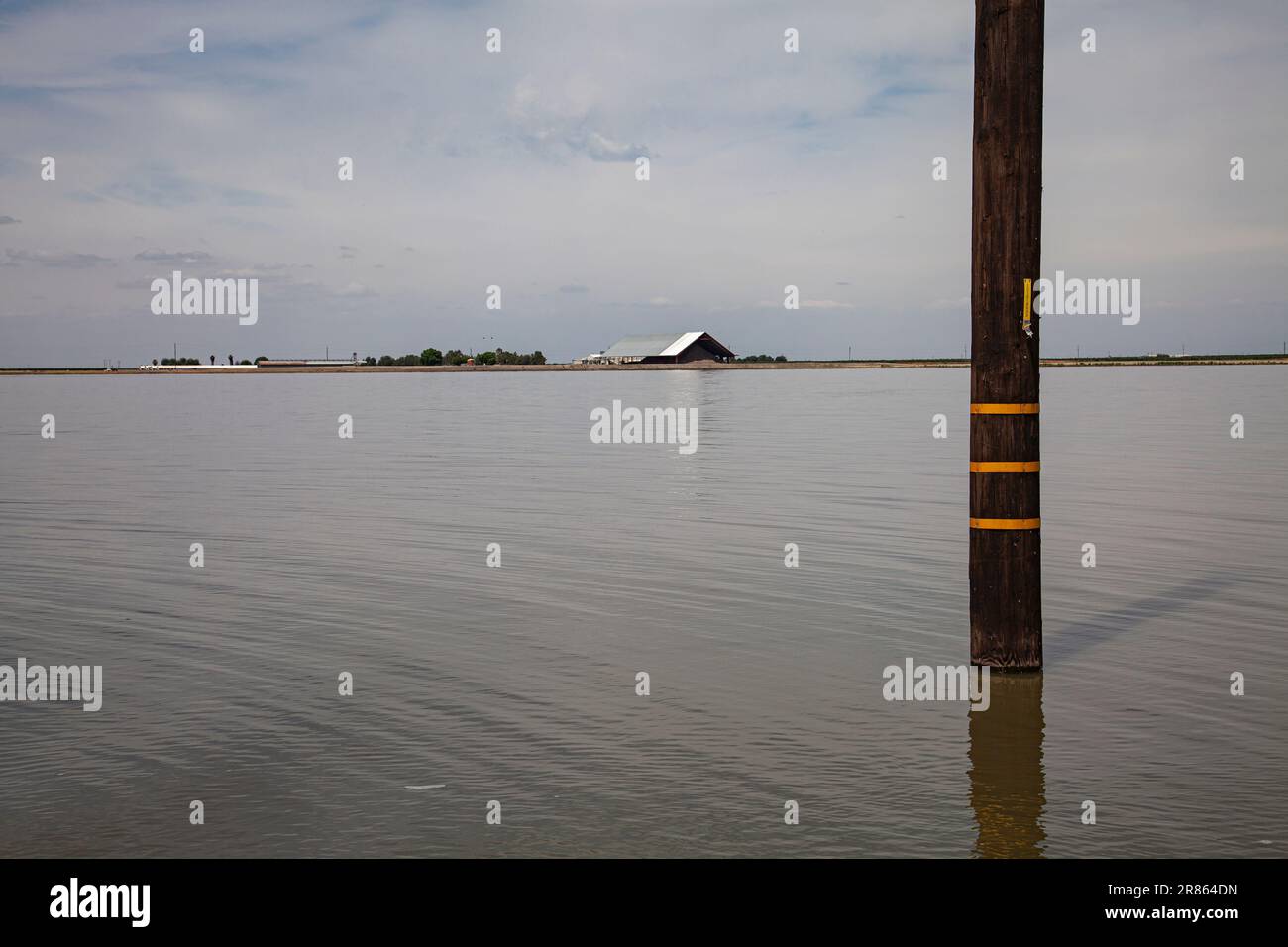 Flooded farm and crops. Tulare Lake, located in California's Central ...