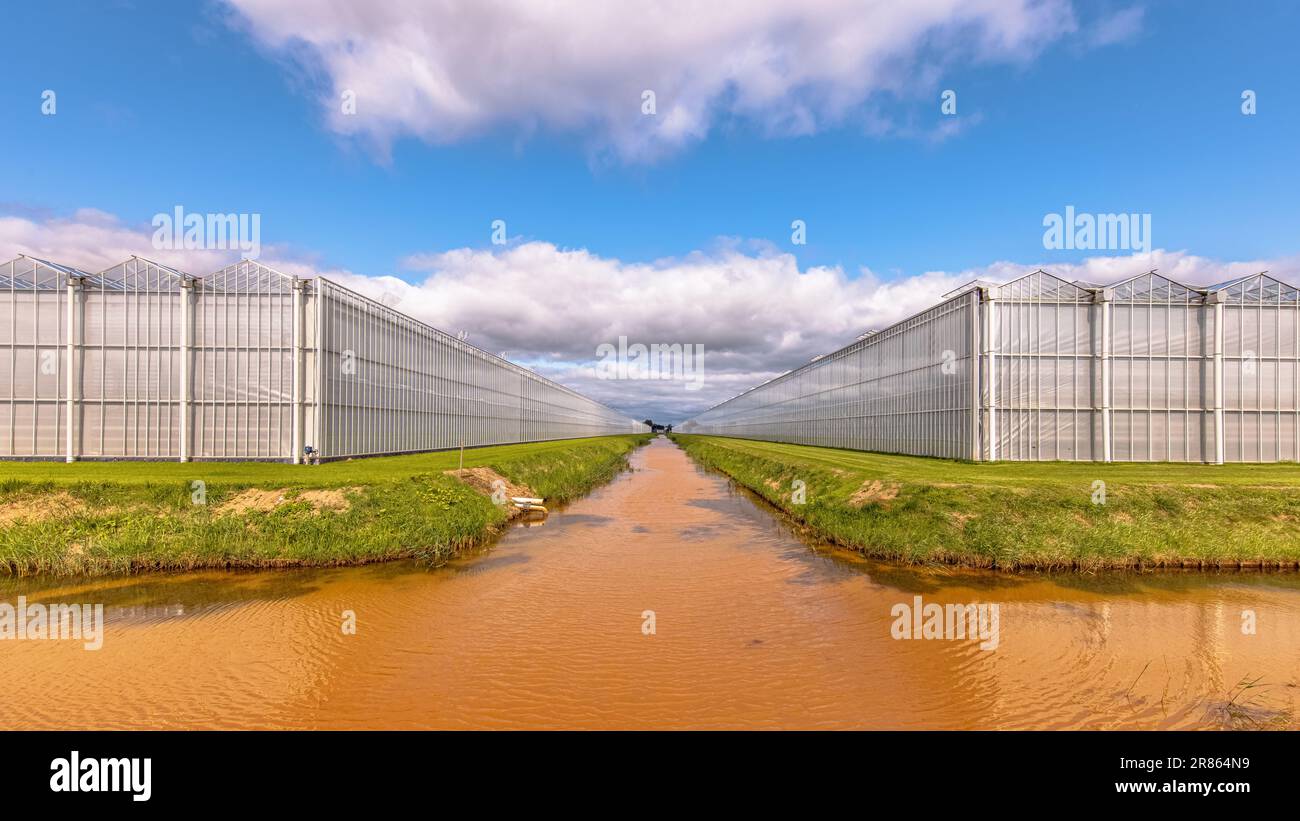 Greenhouse industrial exterior in the Netherlands. Food farming ...