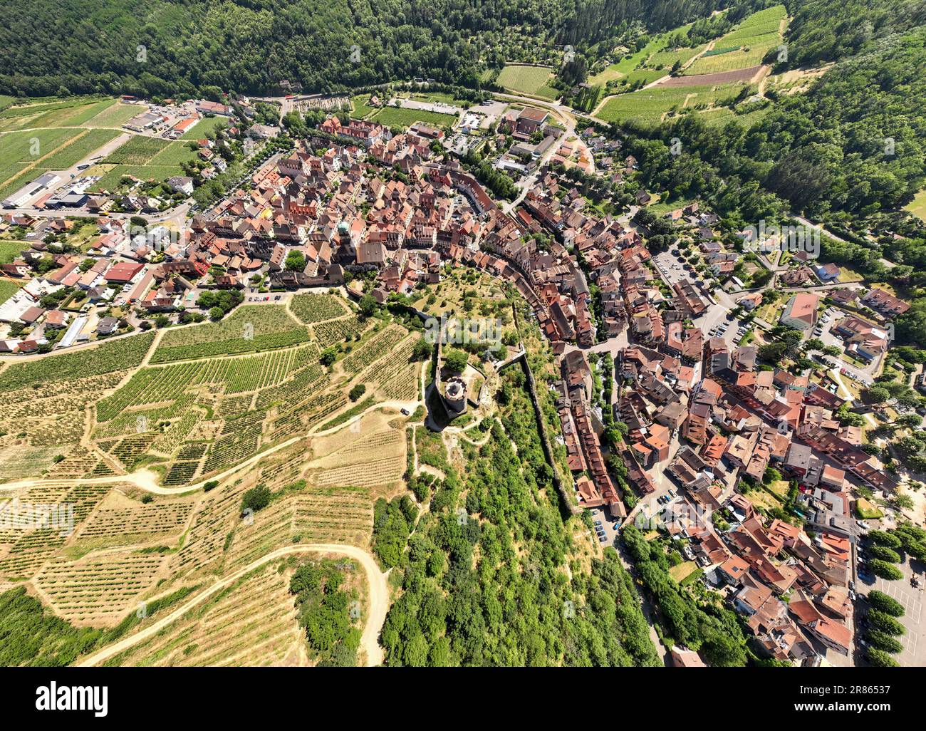 Kaysersberg ruin tower hi-res stock photography and images - Alamy