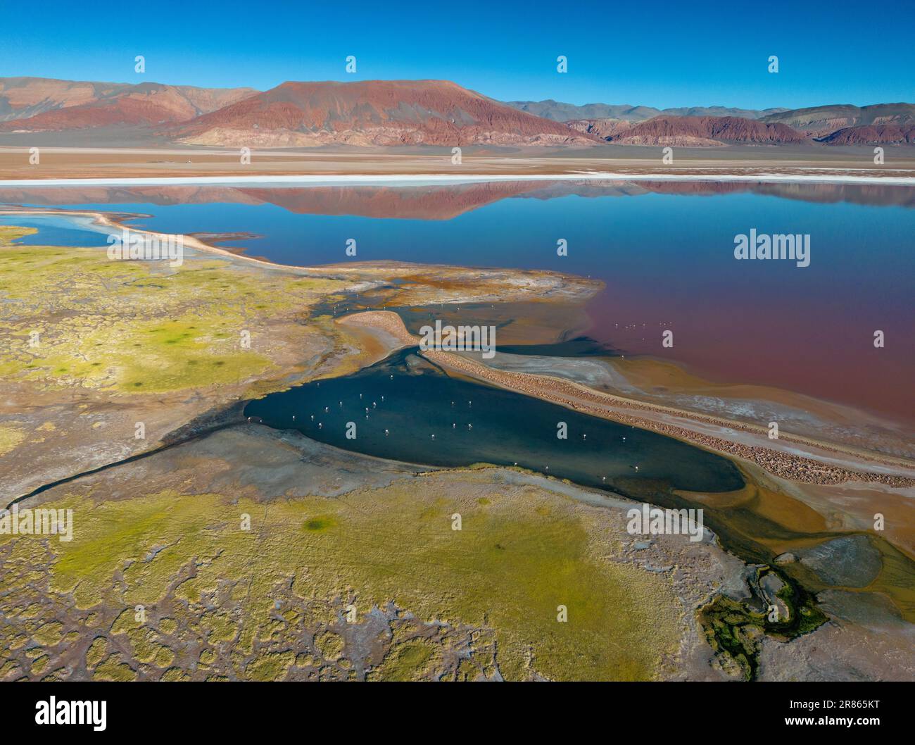 Argentina: Puna - aerial view of the colorful Laguna Carachi Pampa, a ...
