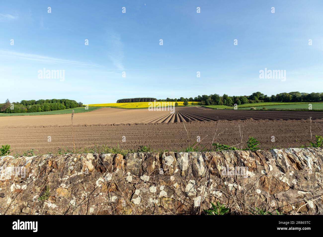 pre-planting field, Ceres, Fife, Scotland, UK Stock Photo - Alamy